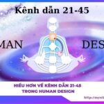 Hiểu hơn về Kênh dẫn 28-38 trong Human Design - Mysticworld.vn - Thế ...